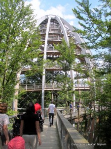 Tree Top Walking - Baumwipfelpfad - A Bavarian Sojourn