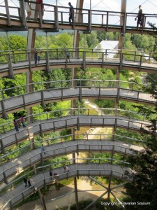 Tree Top Walking - Baumwipfelpfad - A Bavarian Sojourn