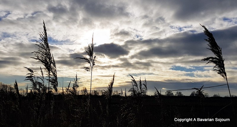 Winter Walking - Wicken Fen - A Bavarian Sojourn