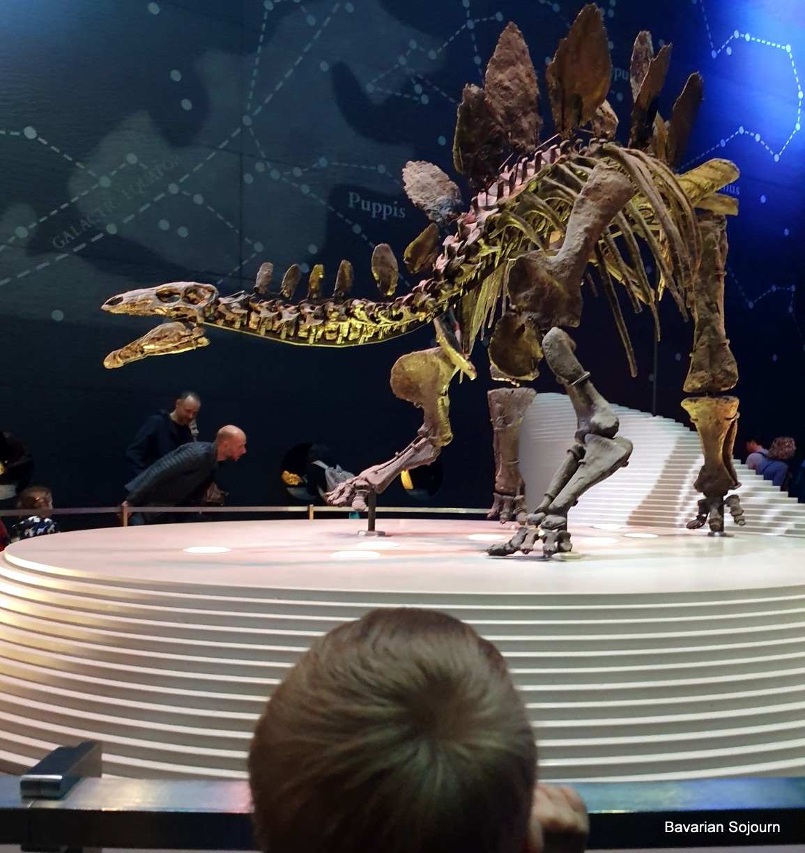 A Day With the Dinosaurs - Natural History Museum London - A Bavarian ...
