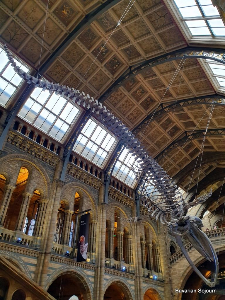 A Day With the Dinosaurs - Natural History Museum London - A Bavarian ...