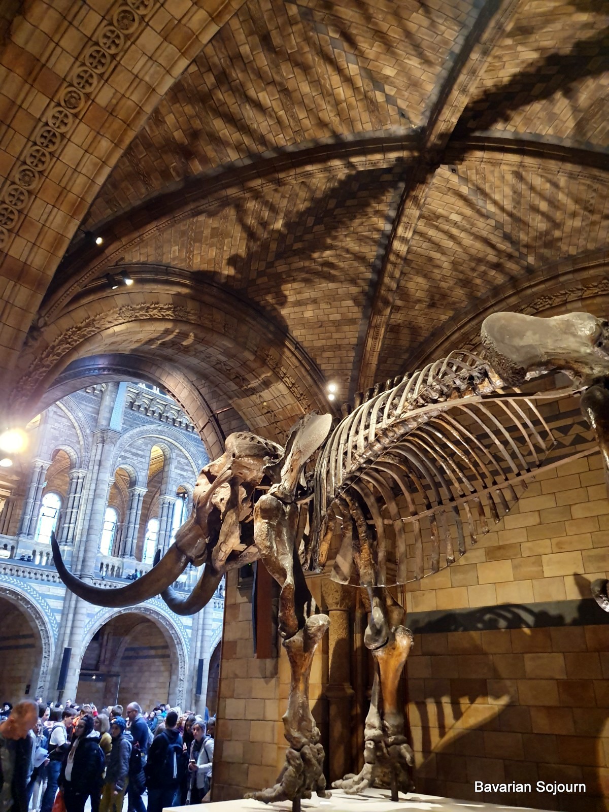 A Day With the Dinosaurs - Natural History Museum London - A Bavarian ...
